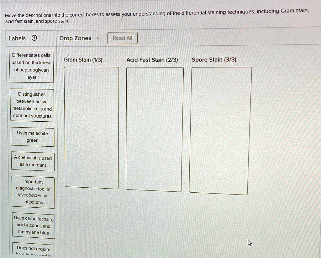 move the descriptions into the correct boxes to assess your ...