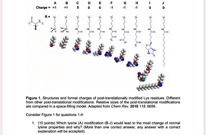 A Charge = +1 RX B C 0 0 D 0 E F 0 -1 G -1 H -1 I 0 J 0 Figure 1 ...