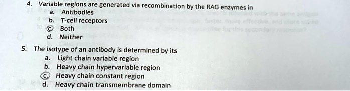 variable regions are generated via recombination by the rag enzymes in ...