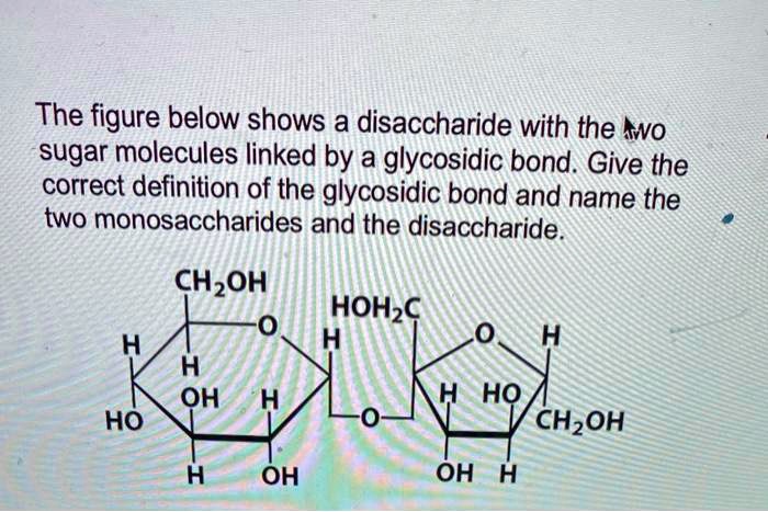The figure below shows a disaccharide with the two sugar molecules ...