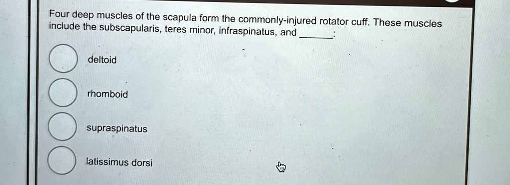 Four deep muscles of the scapula form the commonly-injured rotator cuff ...