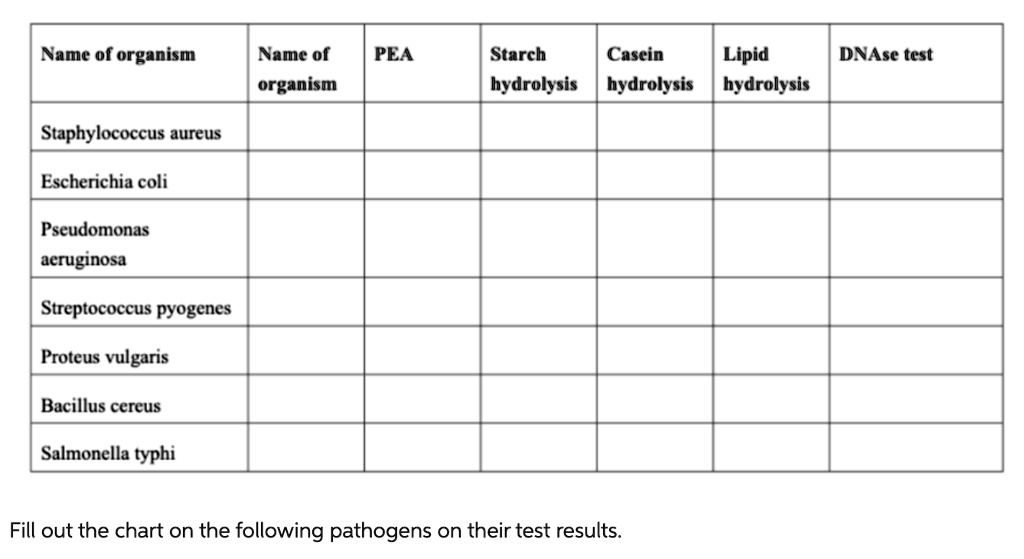 Casein Lipid hydrolysis hydrolysis hydrolysis Name of organism Name of ...