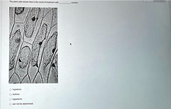 Please Help What Solution Is This Cell Under The Plant Cell Shown 5375