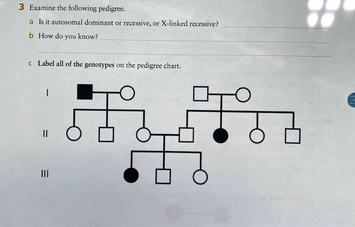 Examine the following pedigree is it autosomal dominant or...