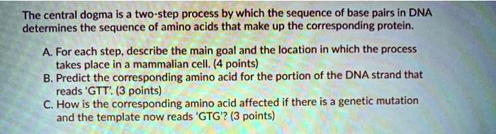 the central dogma is a two step process by which the sequence of base ...