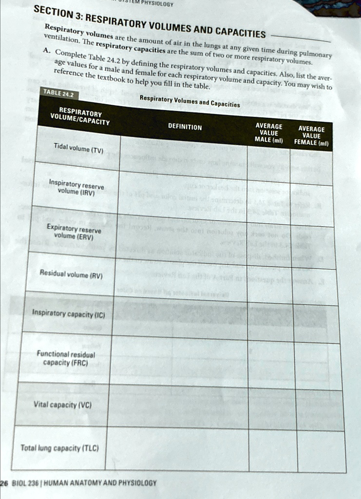 PHYSIOLOGY SECTION 3: RESPIRATORY VOLUMES AND CAPACITIES Respiratory ...