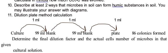 SOLVED: 10. Describe at least 2 ways that microbes in soil can form ...