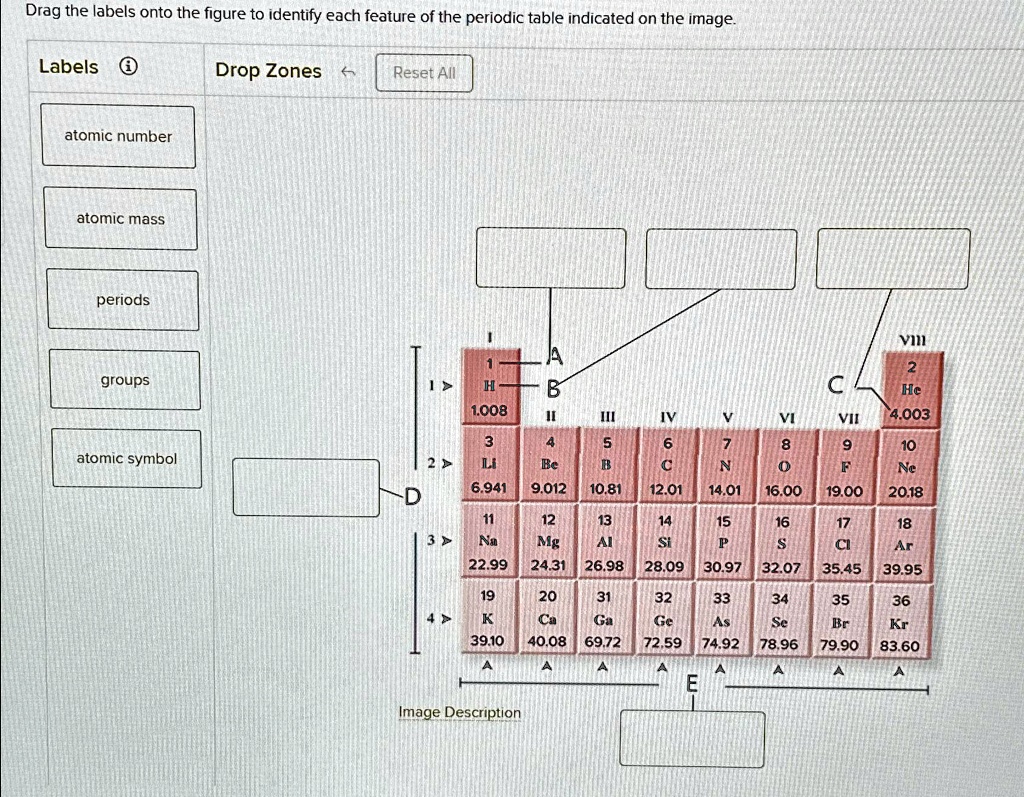 drag the labels onto the figure to identify each feature of the ...