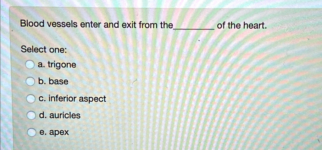 SOLVED: Blood vessels enter and exit from the of the heart. Select one ...