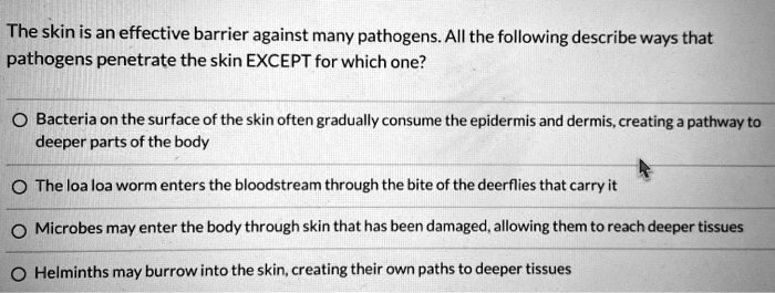 SOLVED: The skin is an effective barrier against many pathogens All the ...