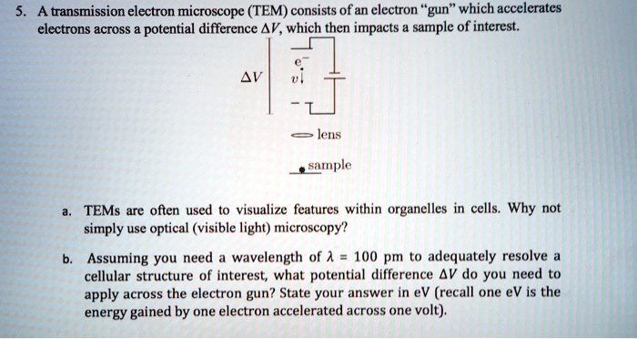 a transmission electron microscope tem consists of an clectron gun ...