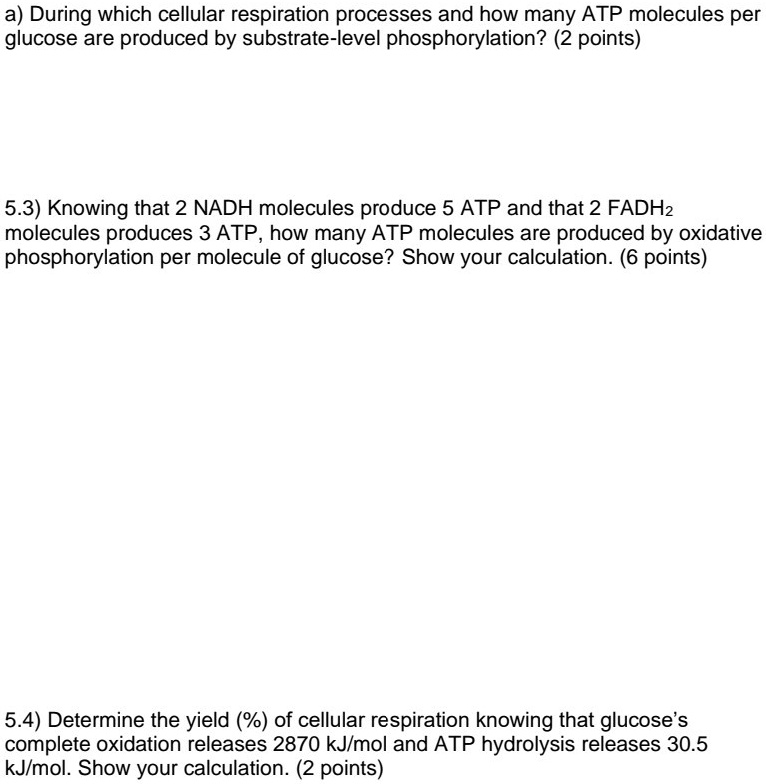 during which cellular respiration processes and how many atp molecules per glucose are produced ...