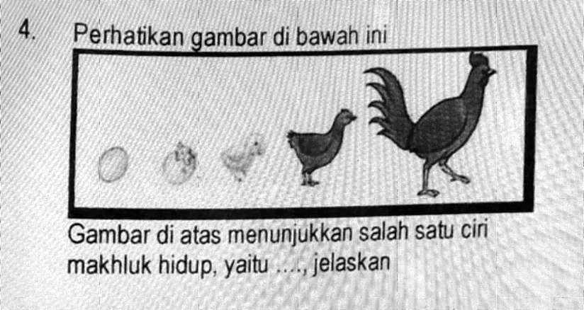 SOLVED: Perhatikan gambar di bawah ini Gambar di atas menunjukkan salah ... SOLVED: Perhatikan gambar di bawah ini Gambar di atas menunjukkan salah ...