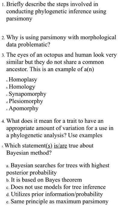 SOLVED: Briefly describe the steps involved in conducting phylogenetic ...
