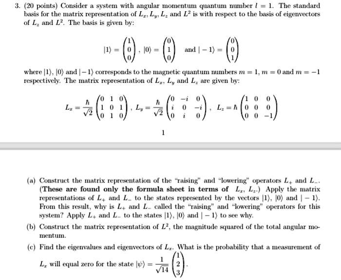 3.20 points Consider a system with angular momentum quantum number l=1. The standard basis for ...