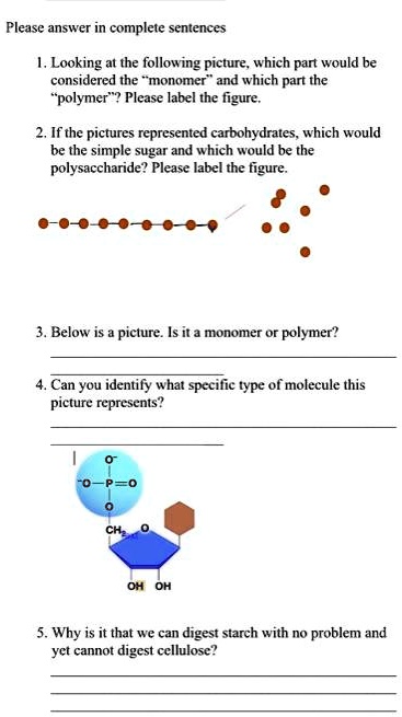 Please answer in complete sentences 1. Looking at the following picture ...