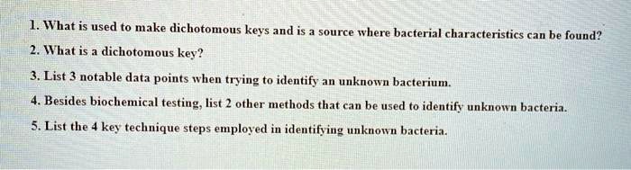 1 what is used to make dichotomous keys and source where bacterial ...