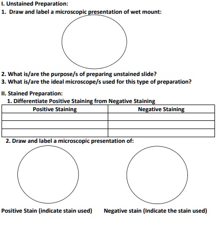 unstained preparation draw and label microscopic presentation of wet ...