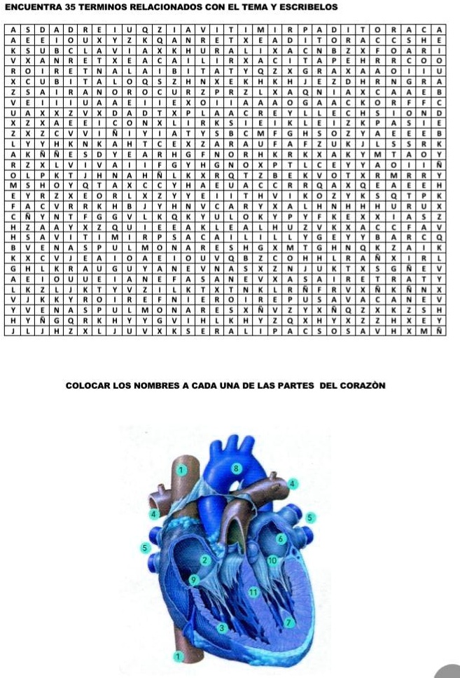 SOLVED: Ayuda con la sopa de letras. Y pues si quieren también las ...