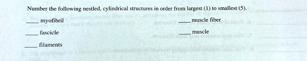number the following nestled cylindrical structures in order from ...