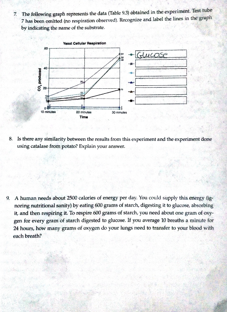 the following graph represents the data table 93 obtained in the ...
