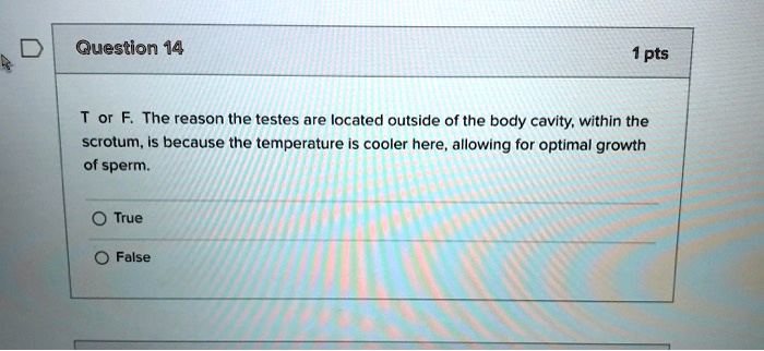 SOLVED: Question 14 1 pts or F. The reason the testes are located ... SOLVED: Question 14 1 pts or F. The reason the testes are located ...