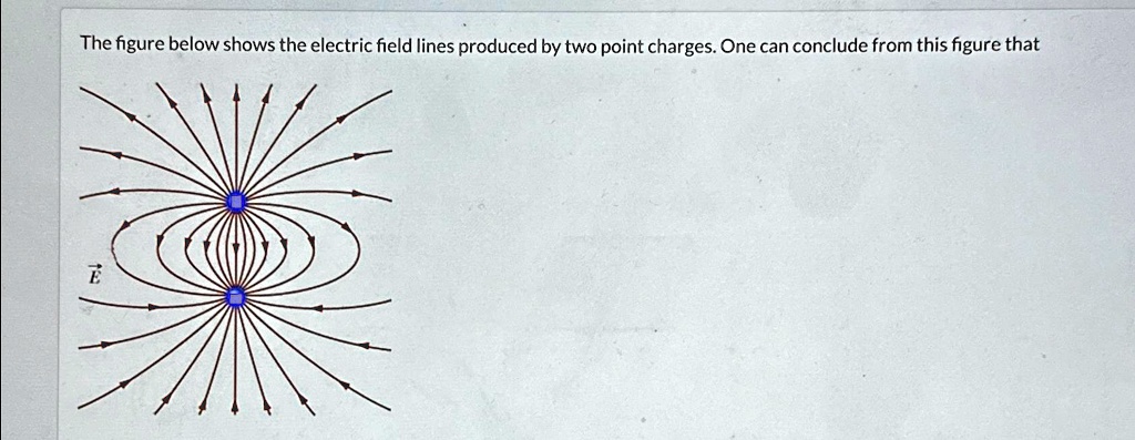 SOLVED: The figure below shows the electric field lines produced by two ...