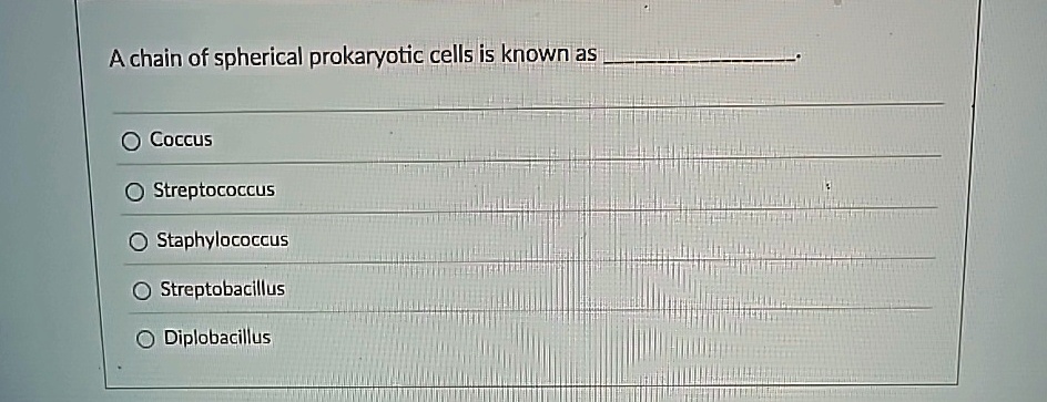 a chain of spherical prokaryotic cells is known as o coccus ...