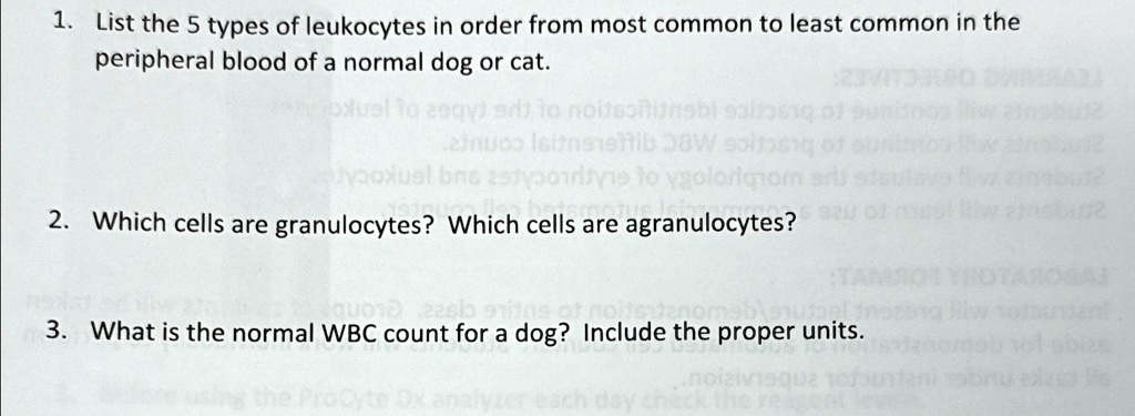 1. List the 5 types of leukocytes in order from most common...