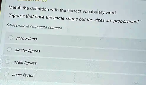 Match the definition with the correct vocabulary word. "Figures that ...