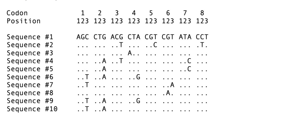 Codon Position Sequence #1 Sequence #2 Sequence #3 Sequence #4 Sequence ...