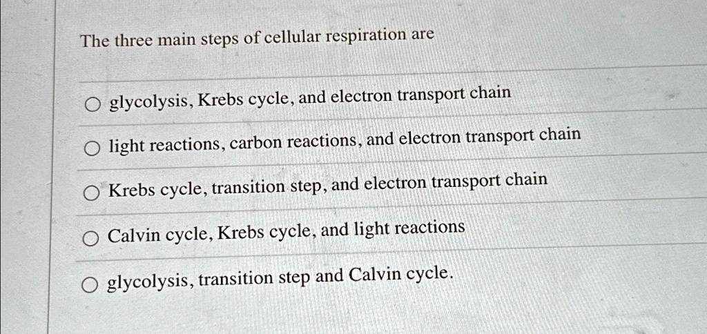SOLVED: The three main steps of cellular respiration are glycolysis ...