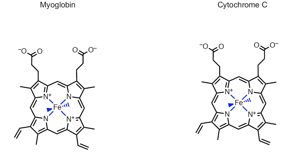 VIDEO solution: Annotate the image below of the heme ring from ...