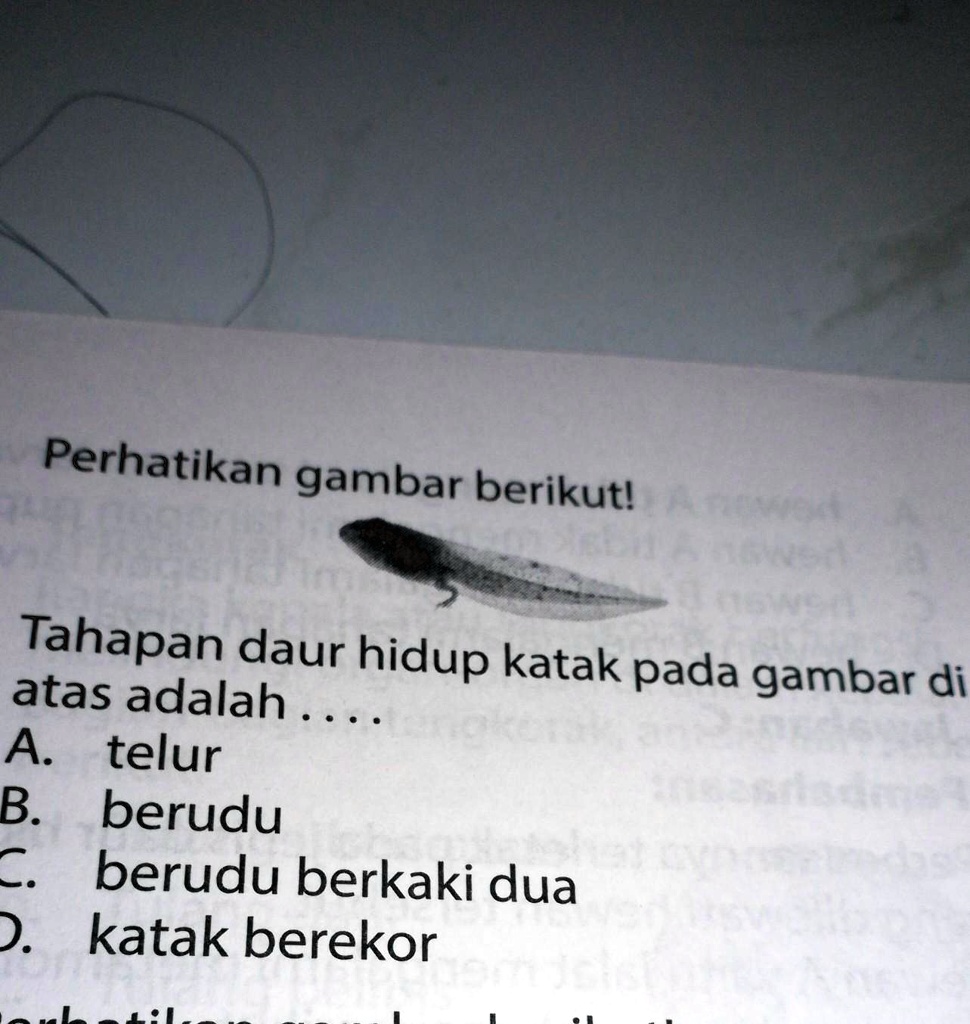 SOLVED: Tahapan daur hidup katak pada gambar diatas adalah... Bantu ya ...