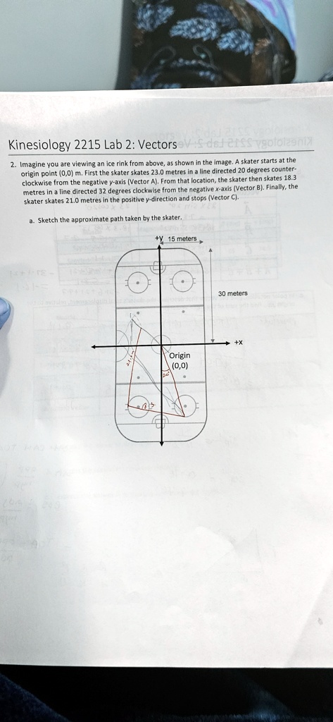 Kinesiology 2215 Lab 2: Vectors 2. Imagine you are viewing an ice rink from above, as shown in ...