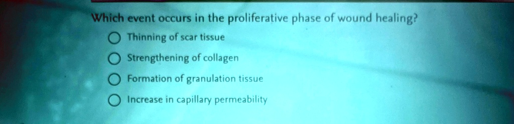 [GET ANSWER] which event occurs in the proliferative phase of wound ...