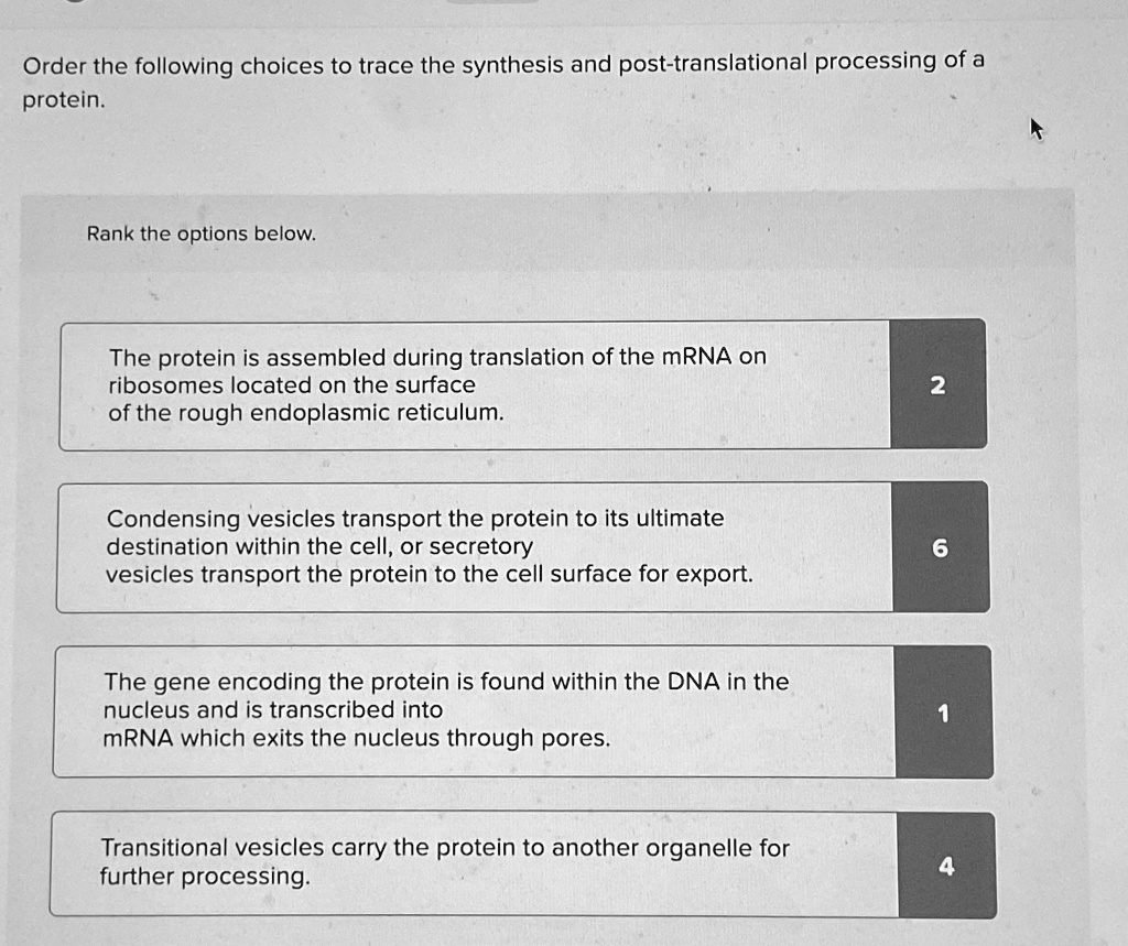 Order the following choices to trace the synthesis and post ...