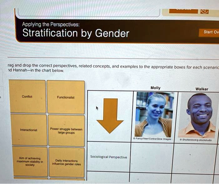 SOLVED: Start Over Drag and drop the correct perspectives, related concepts, and examples to the ...