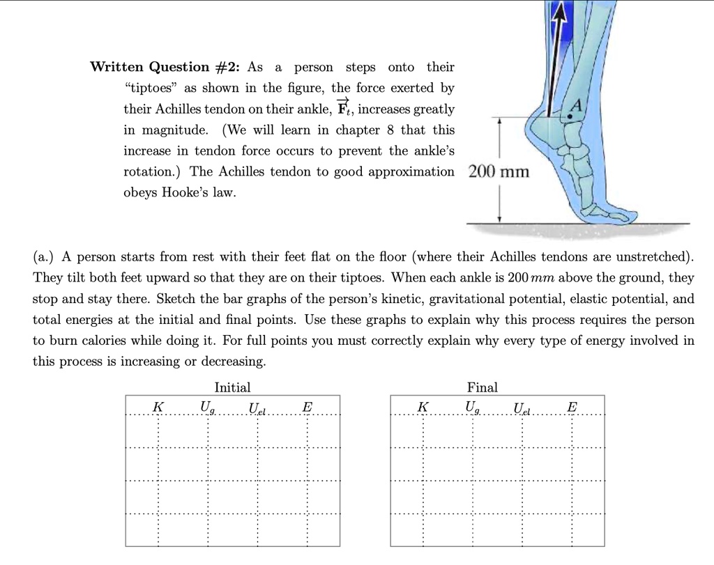 written question 2 as person steps onto their tiptoes as shown in the ...