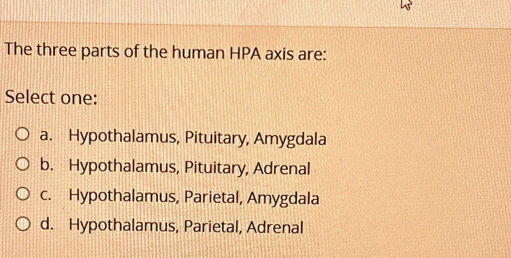 The three parts of the human HPA axis are: Select one: Oa. Hypothalamus ...