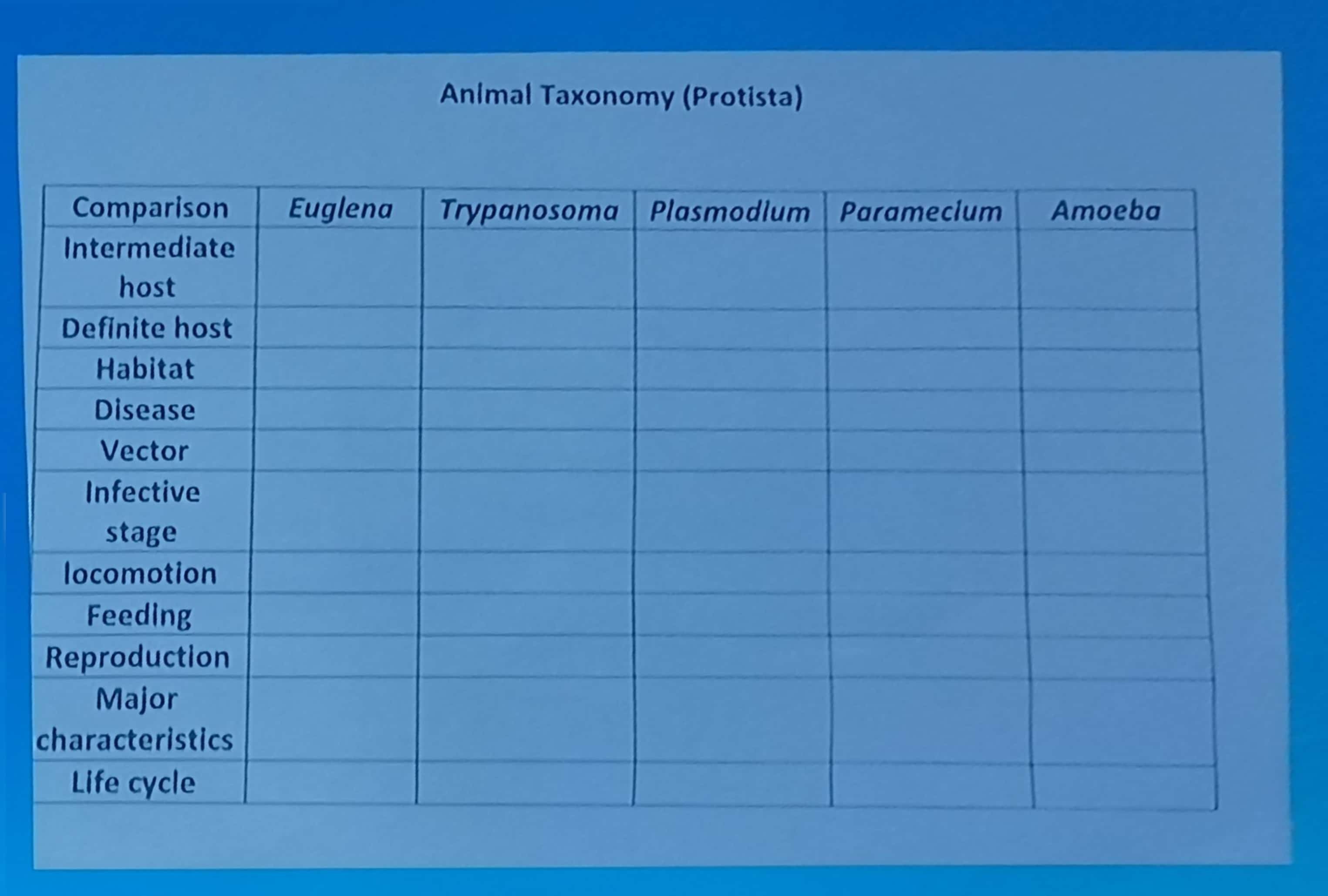 Animal Taxonomy (Protista) Comparison Intermediate host Euglena ...