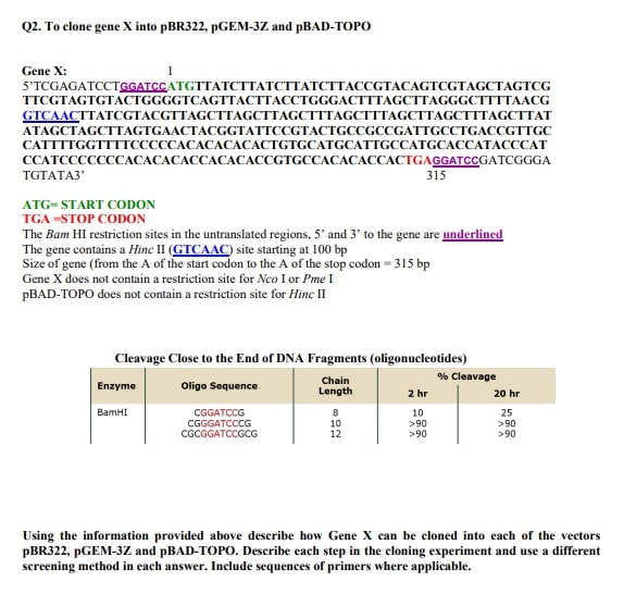 SOLVED: Q2. To clone gene X into pBR 322, pGEM-3 Z and pBAD-TOPO Gene X: 1 5 ...