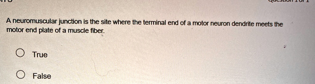 a neuromuscular junction is the site where the terminal end of a motor ...