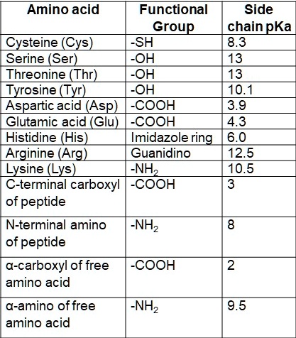 SOLVED: Calculate the net charge for the following peptide, for pH = 5 ...
