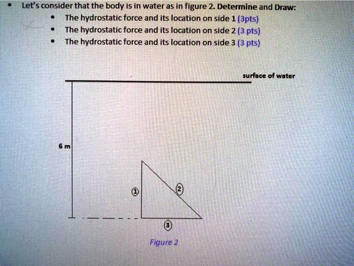 Solved Let S Consider That The Body Is In Water As Shown In Figure 2