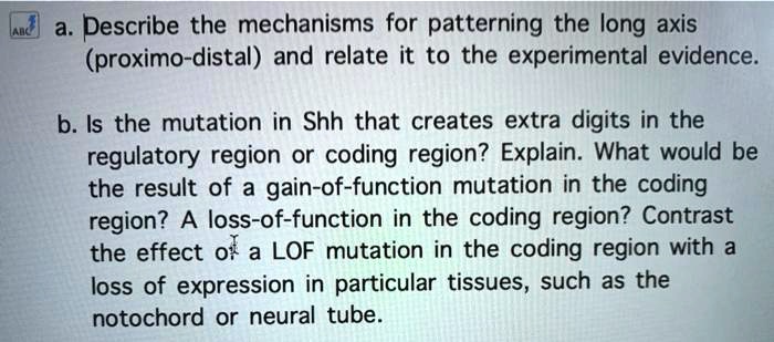 a pescribe the mechanisms for patterning the long axis proximo distal ...