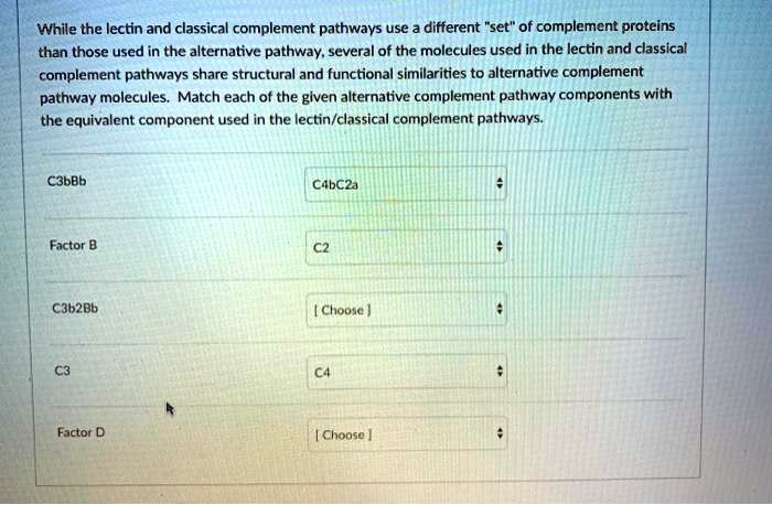 Solved While The Lectin And Classical Complement Pathways Use A Different Set Of Complement