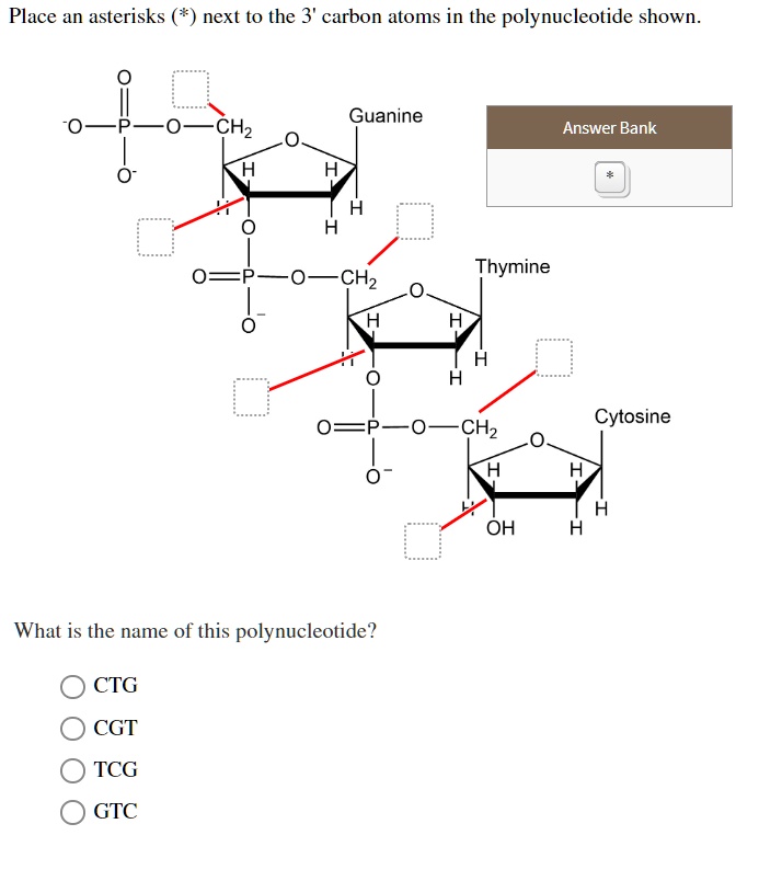 SOLVED: Place an asterisks next t0 the 3' carbon atoms in the ...
