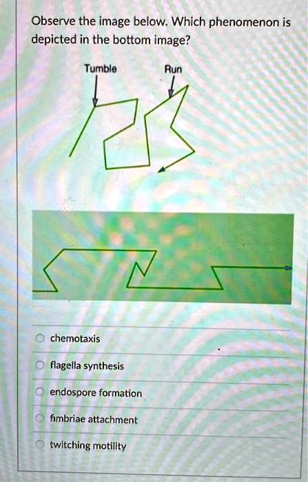 SOLVED: Text: Observe the image below. Which phenomenon is depicted in ...