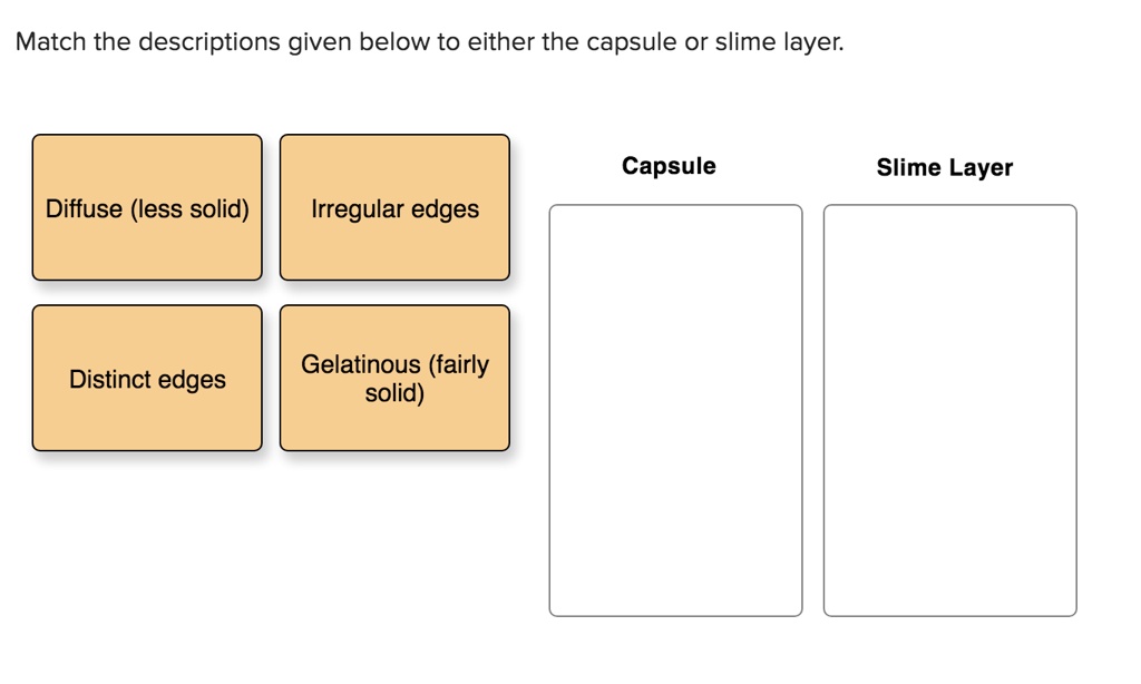SOLVED: Match the descriptions given below to either the capsule or ...